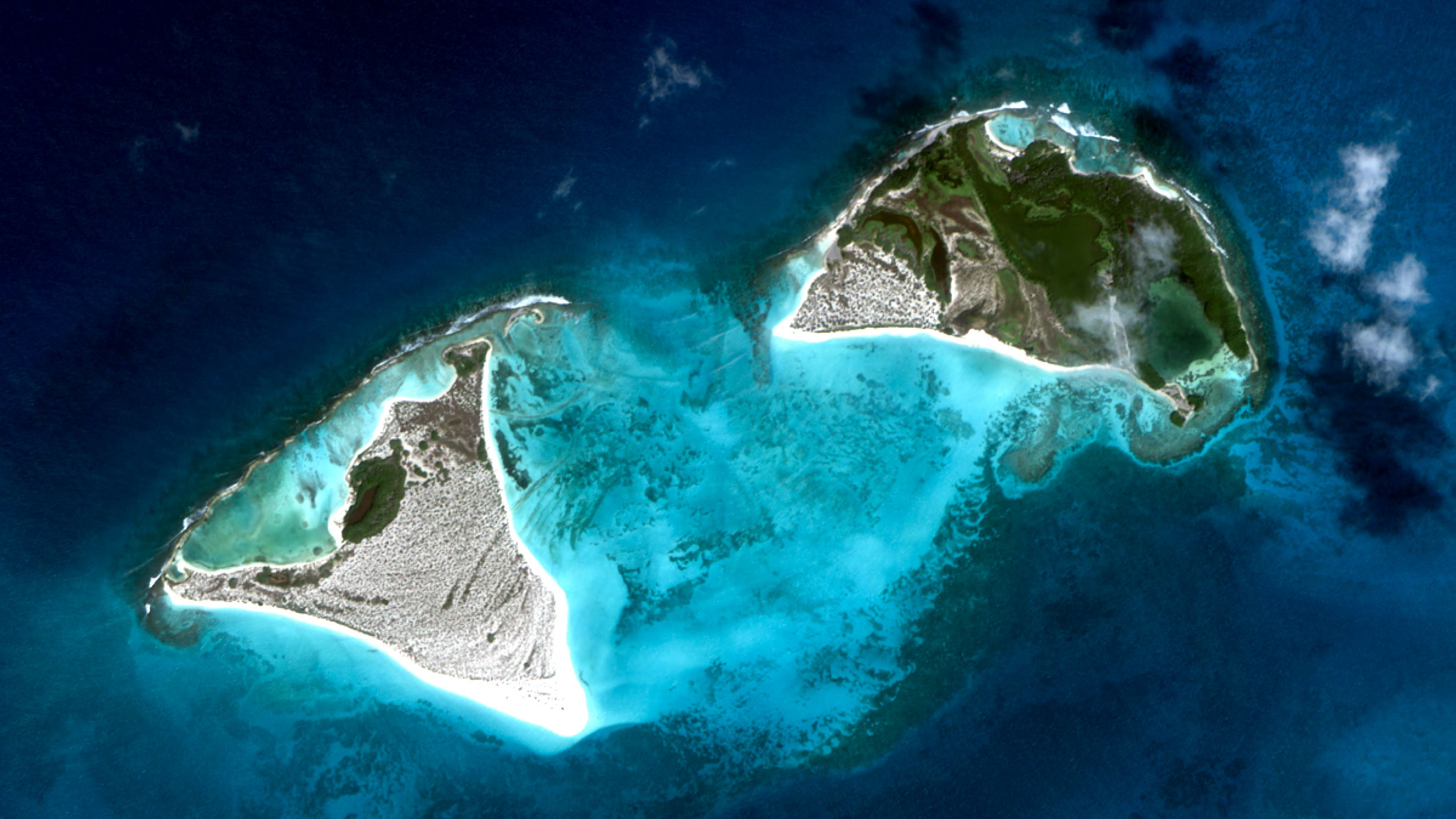 Contribución de la ABAE a la preservación del planeta mediante ...